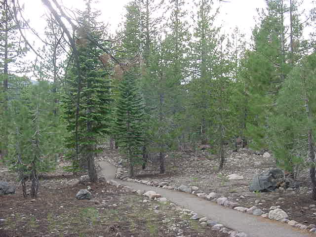 Pictures in Lassen - 8