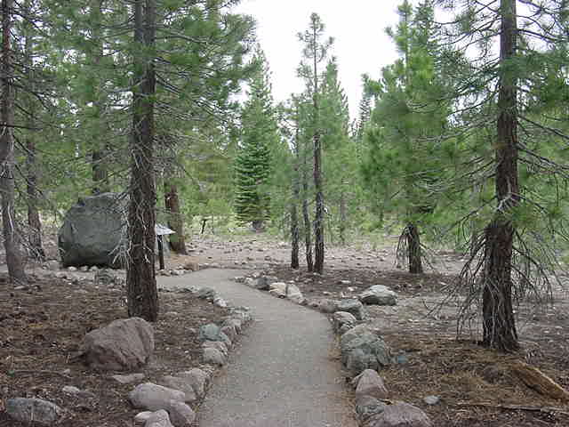 Pictures in Lassen - 8